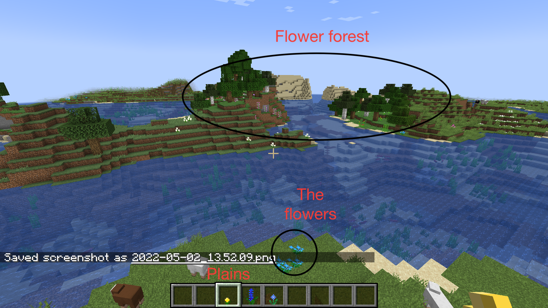 Flowers and structures spawning outside of desired biome + flowers at high weights spawning ...