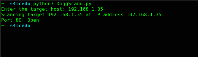 GitHub - salcedogg/DoggScann: Basic Python port scanner