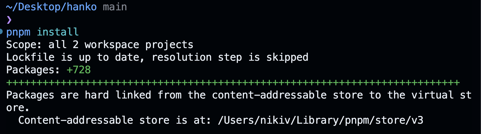 Can't run playground · Issue #19 · nuxt-modules/hanko · GitHub