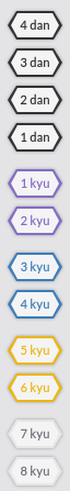 About the kyu/dan rank badges (shape glitches and color schemes ...