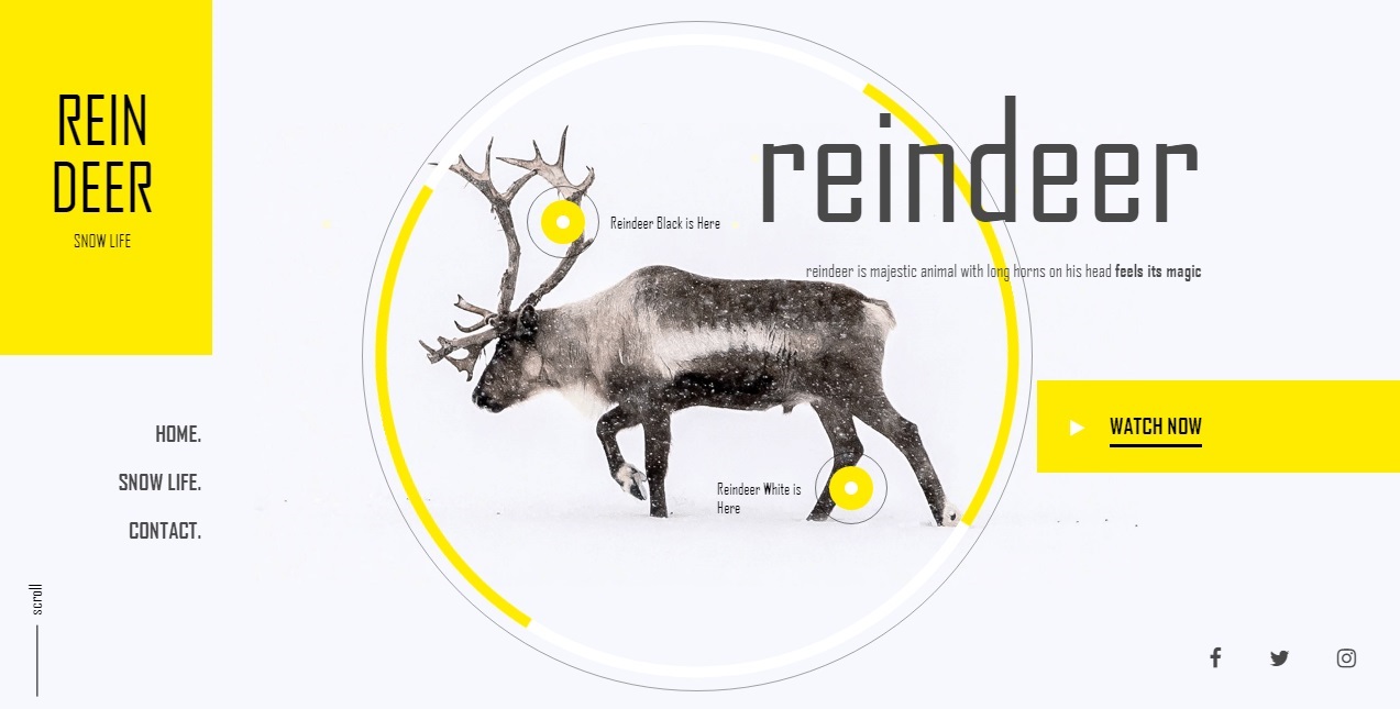 Github Tausifm Reindeer Website Javascript Html Css This Is Cool Circle Design Around