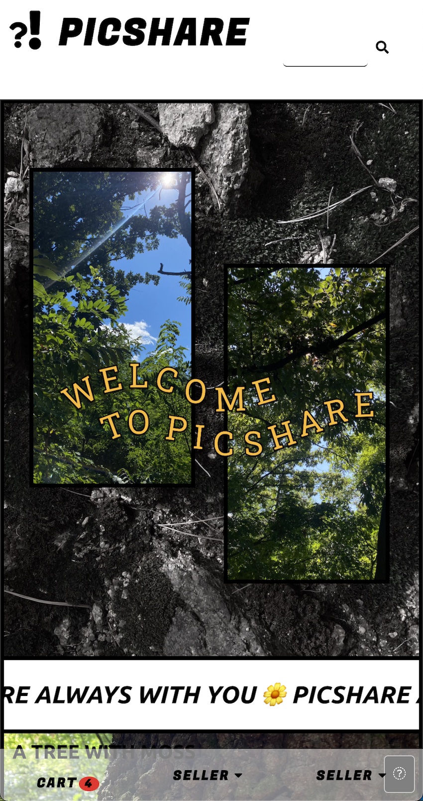 GitHub - yunhalee05/picshare: 🥫 React, Node.js, MongoDB를 이용하여 사진을 판매, 공유하여 추억을 공유하는 사이트