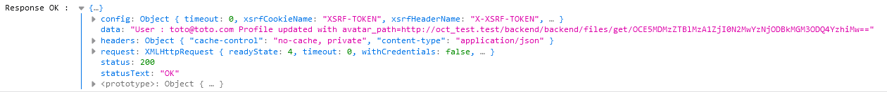 How to upload an User avatar pic from a route API ? · Issue #467 · rainlab/user-plugin · GitHub