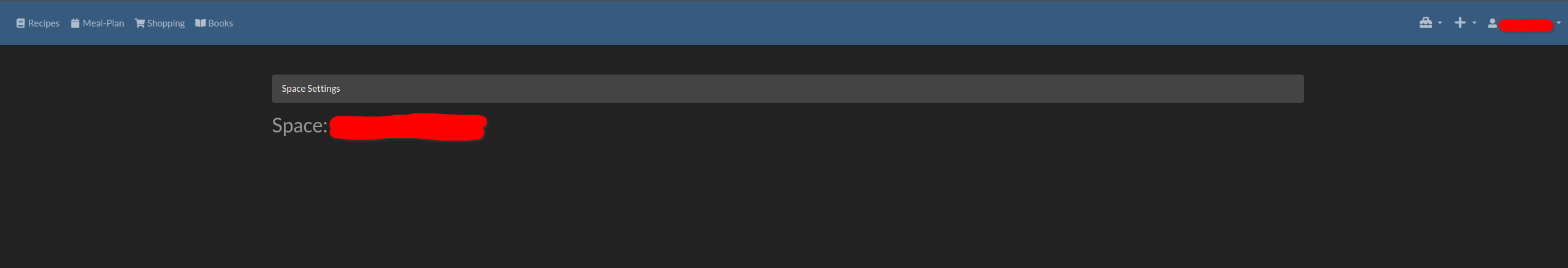 Empty Space Settings page · Issue #2166 · TandoorRecipes/recipes · GitHub