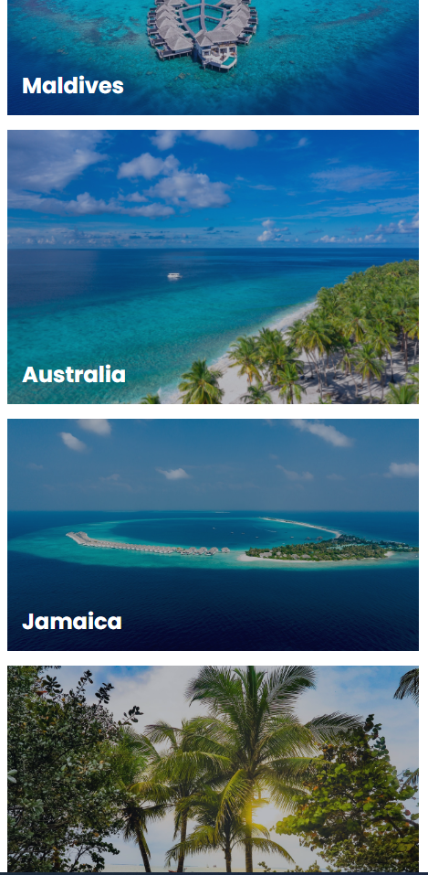 GitHub - tiagoc0sta/travel-react-tailwind