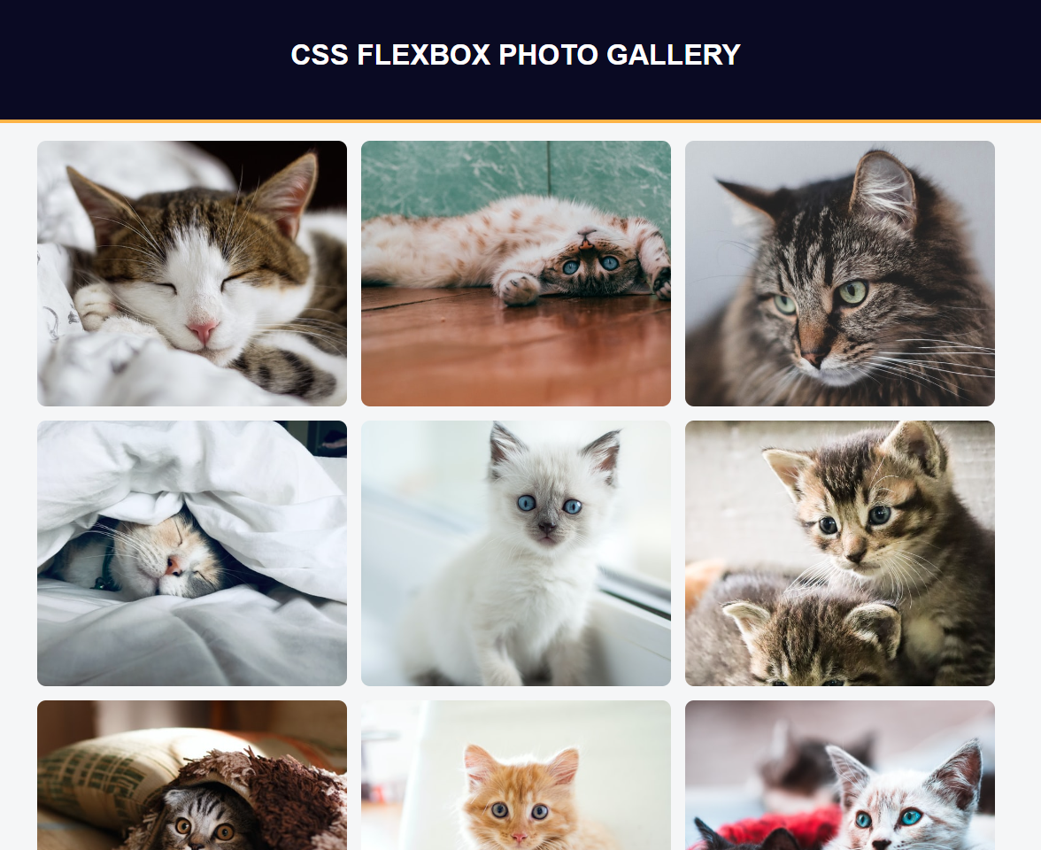 GitHub - tiagoc0sta/Photo-Gallery_CSS-Flexbox