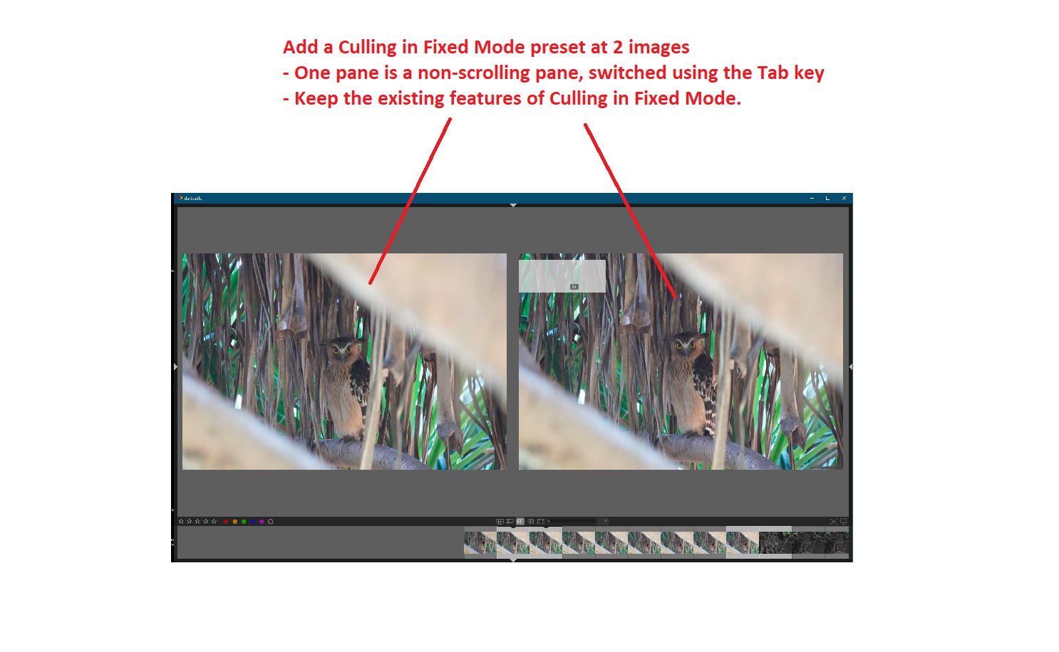 Culling Layout in Fixed Mode - Additional Feature · Issue #12944 · darktable-org/darktable · GitHub