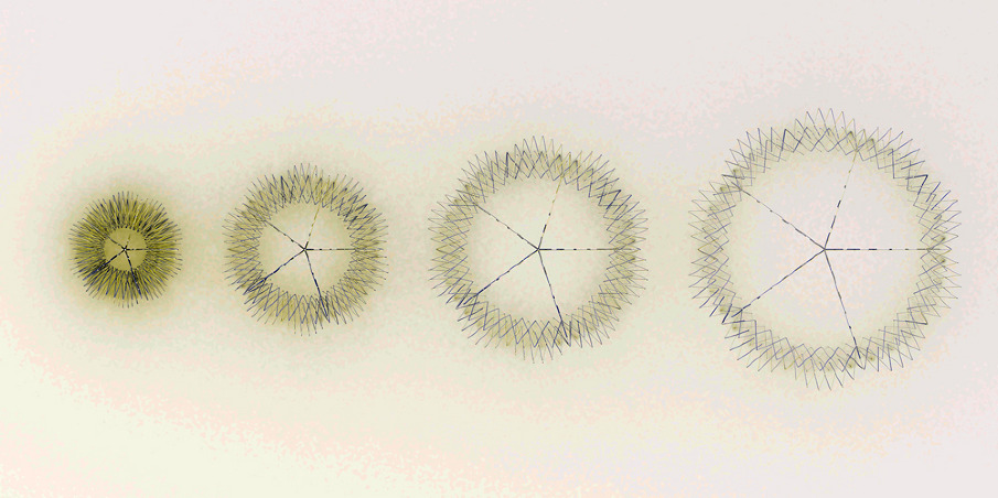 Github Gasinghdeployable Structure Viz A Deployable Structure