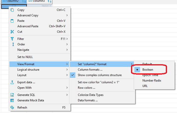 View as BOOLEAN transformation · Issue #7927 · dbeaver/dbeaver · GitHub