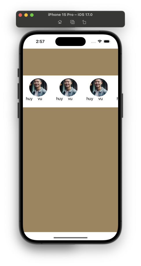 Github Experimenters1 Uicollectionview Custom Cell Uilabel Missing When Uiimageview Has Image