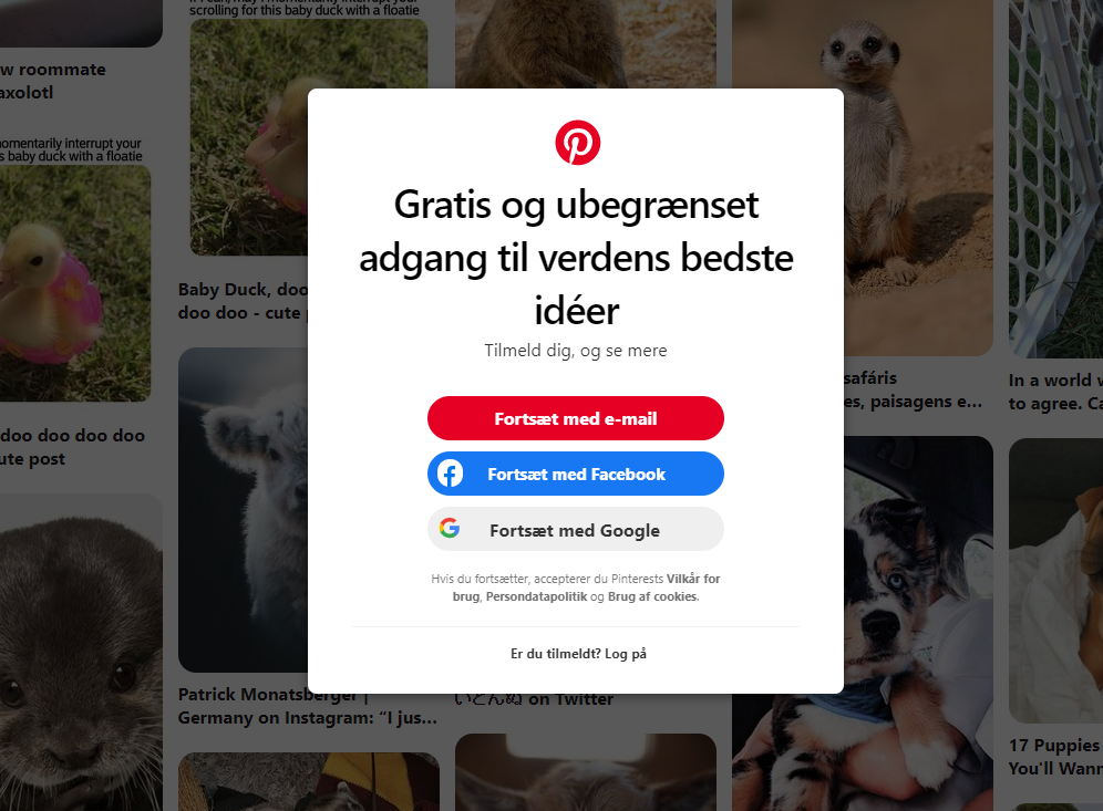 pinterest.dk · Issue #7708 · uBlockOrigin/uAssets · GitHub