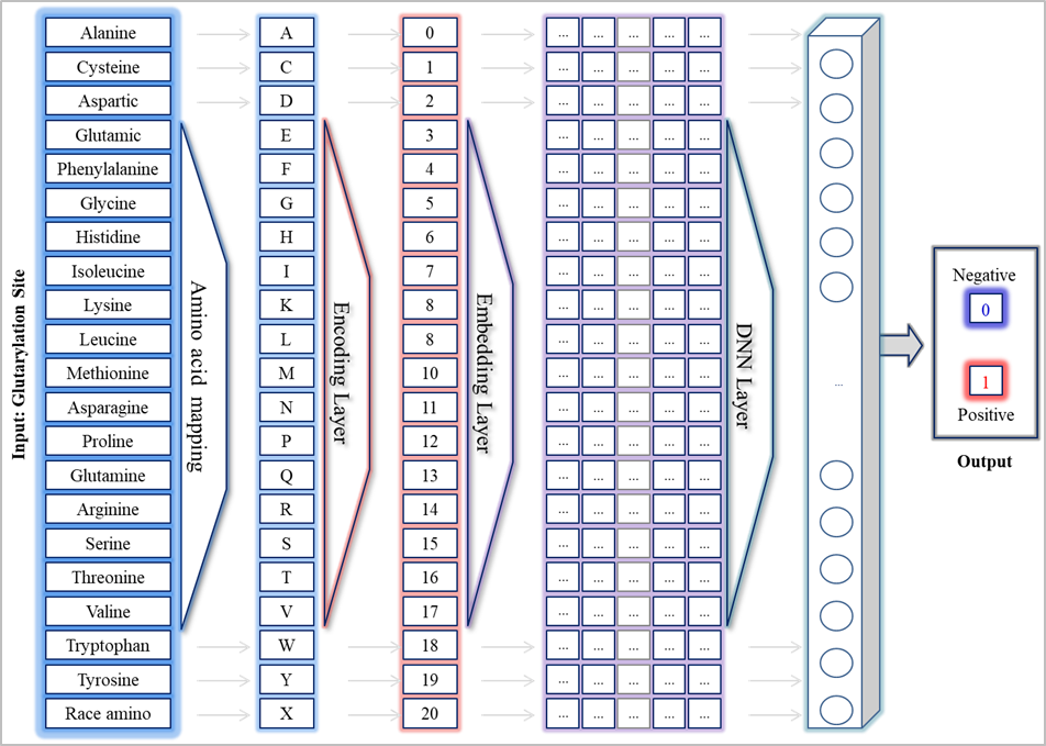 GitHub - CSIE-NTUT/DNN-E: Deep Neural Network Framework Based on Word Embedding for Protein ...