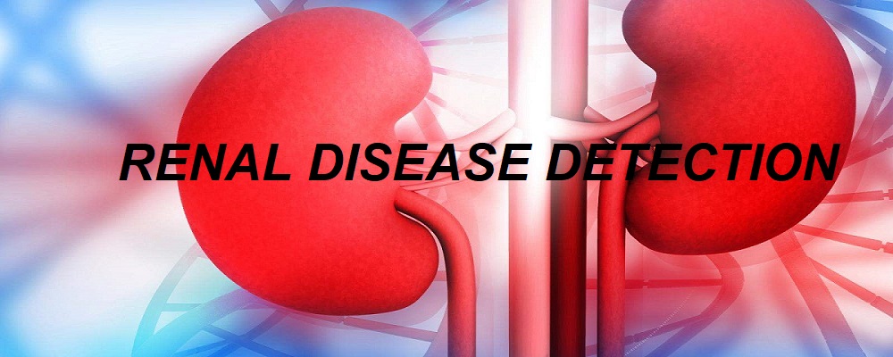 GitHub - Jayeskumar/Renal-Disease-Detection