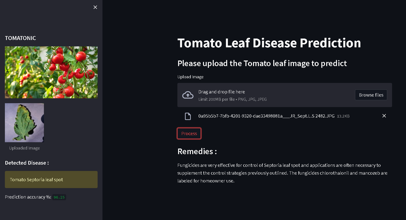 GitHub - ay9869/Tamato-Leaf-DIsease-Detection