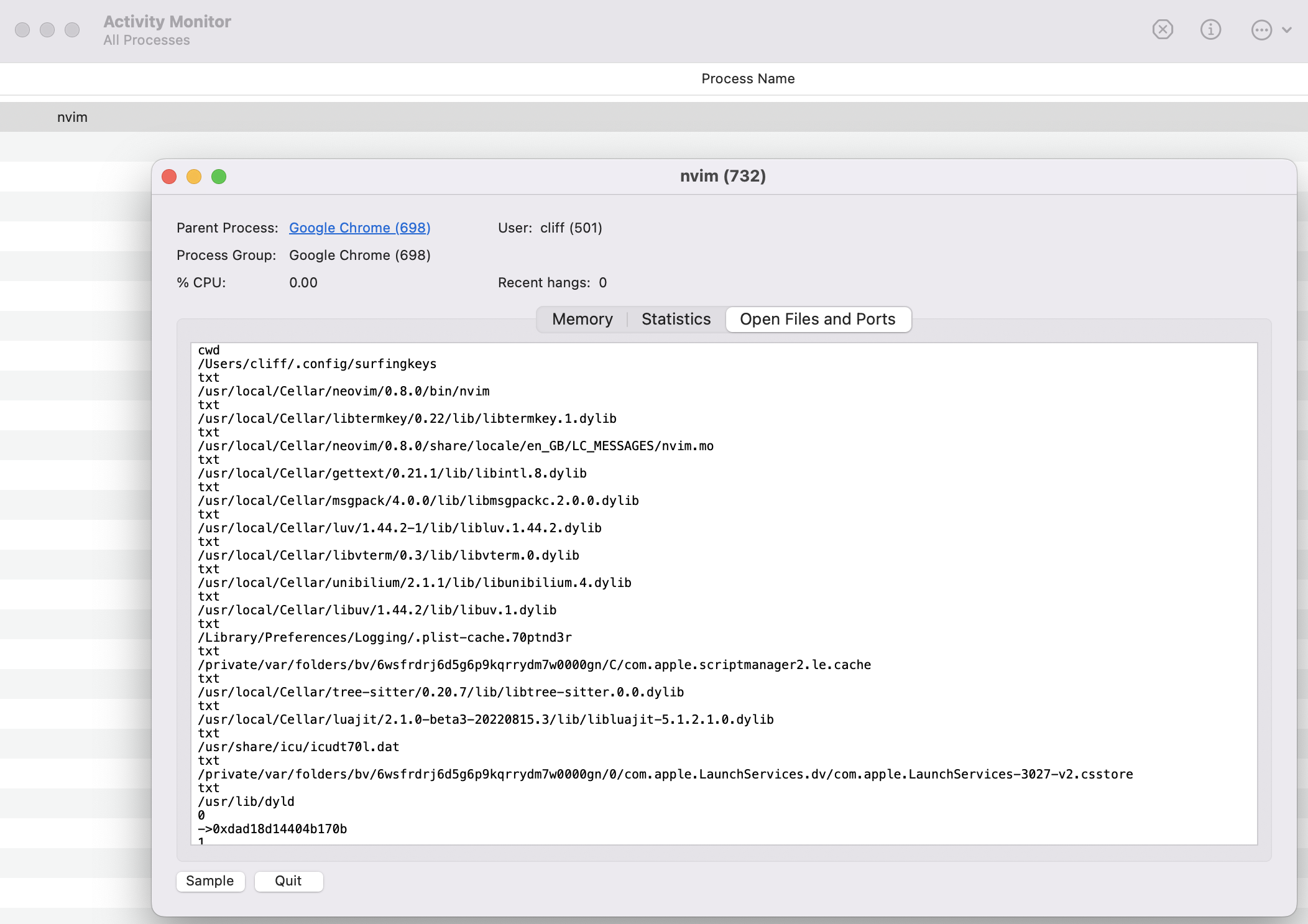 blank page for neovim · Issue #1863 · brookhong/Surfingkeys · GitHub
