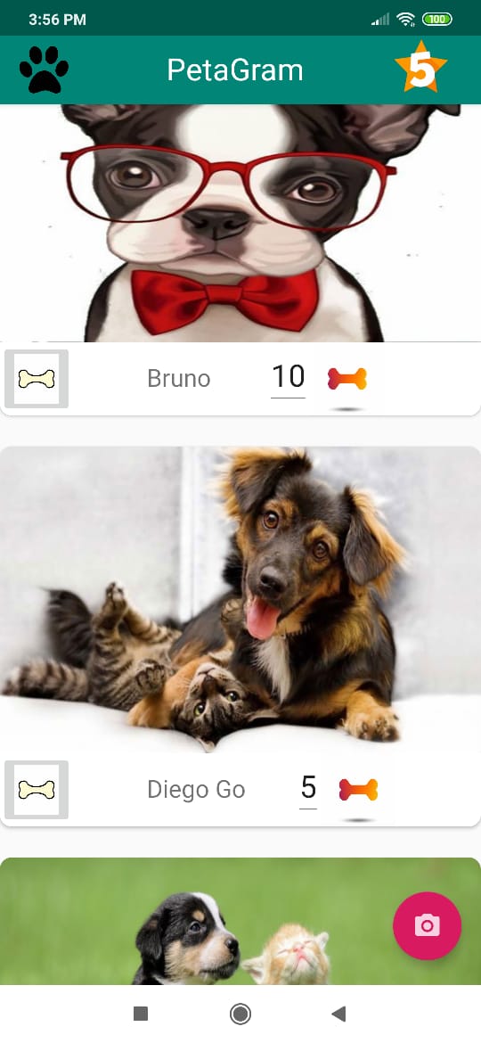 GitHub - LearningCode14/PetaGram: Proyecto PetaGram utilizando Material ...