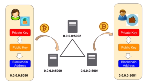 GitHub - alexia-vetere/Wallet: This repository contains an implementation of a wallet and its ...