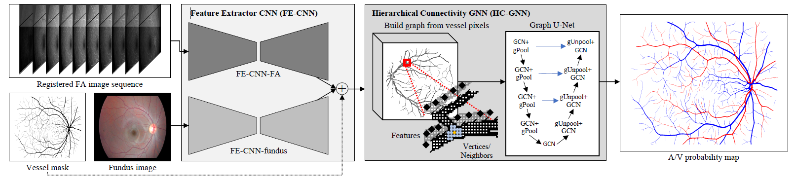 GitHub - snubhretina/HVGN