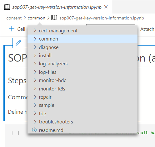 Notebook Viewlet should select / activate any opened notebooks (very important for search ...