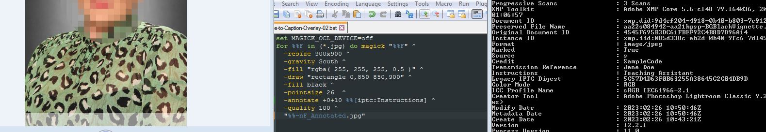 Annotating Images with Data from IPTC / EXIF Metadata · ImageMagick ImageMagick · Discussion ...