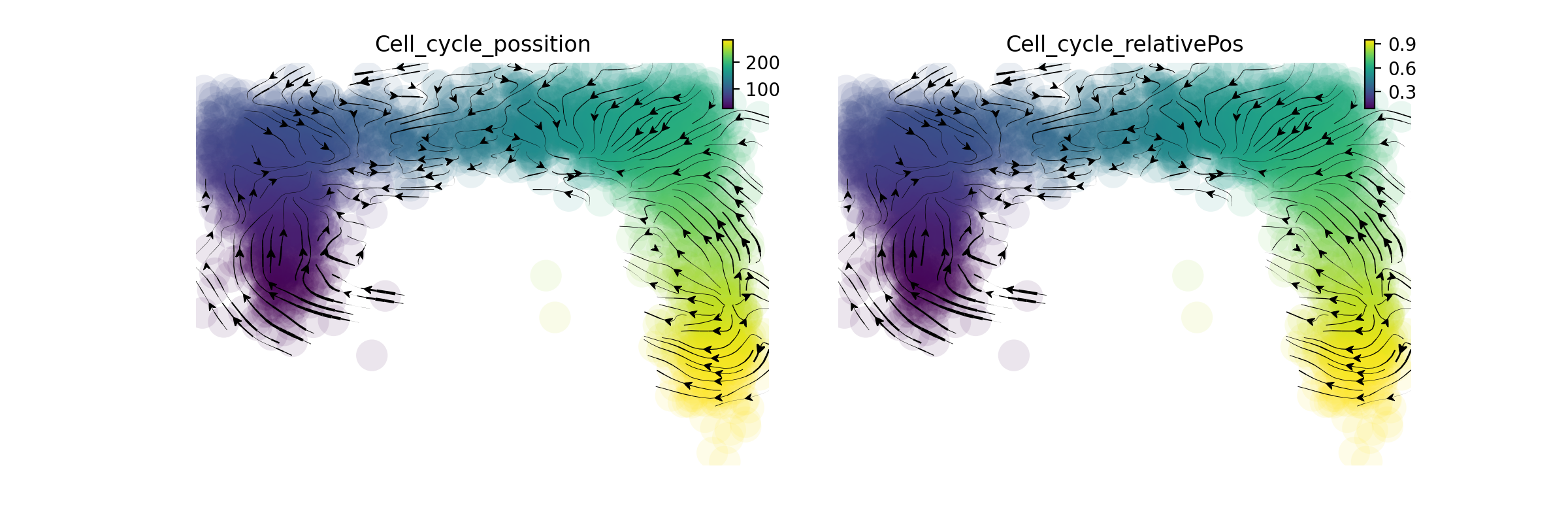 Cell_cycle plot scEU-seq · Issue #247 · aristoteleo/dynamo-release · GitHub