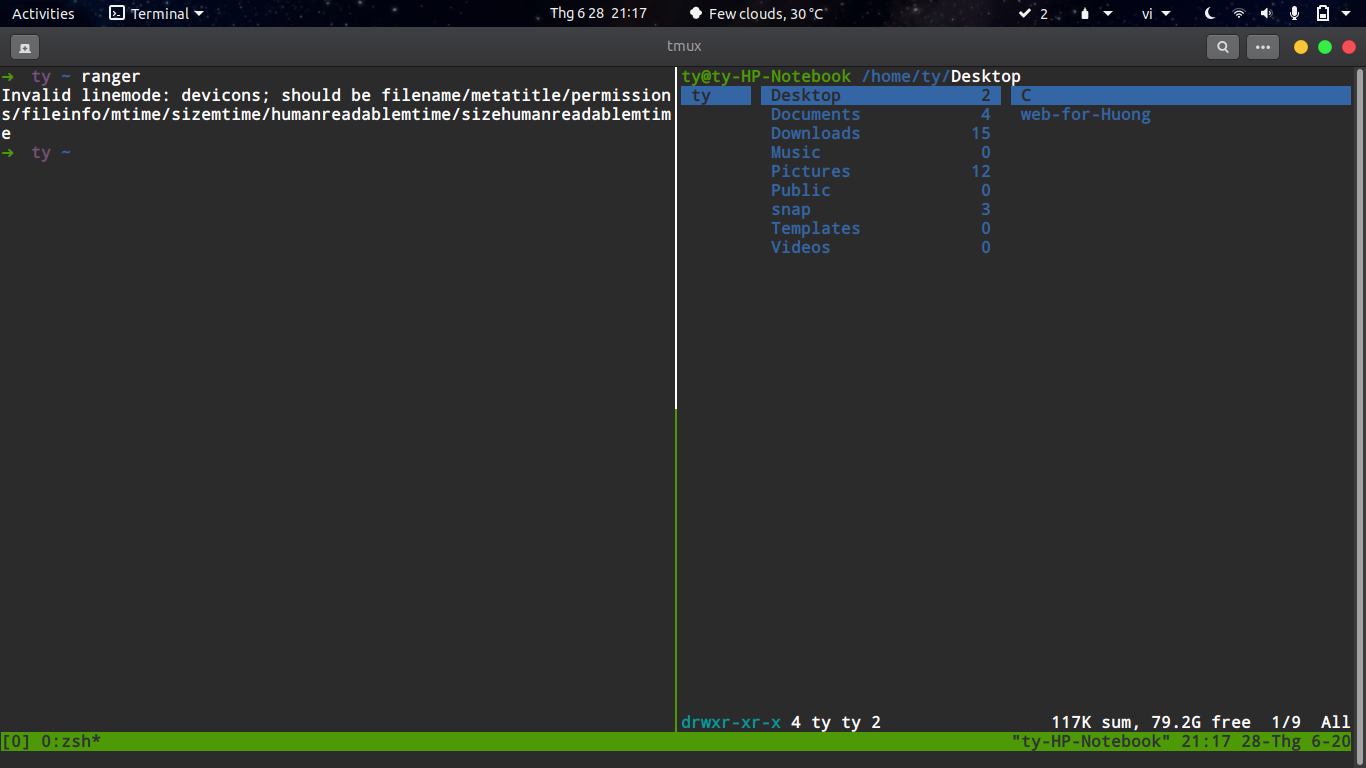 Invalid linemode: devicons · Issue #62 · alexanderjeurissen/ranger ...
