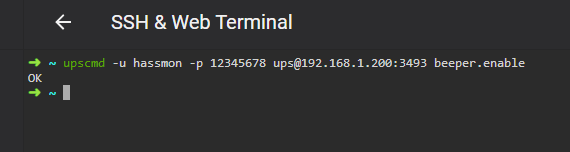 Running The Command Via Does Not Work Service Hassioaddonstdin 