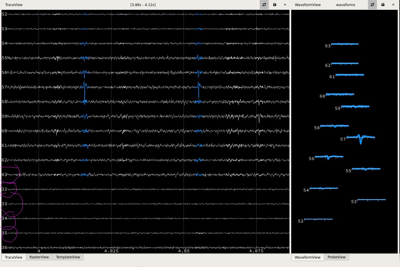 Display Of Traceview And Waveformview For Parallel Probes · Issue 928 · Cortex Lab Phy · Github