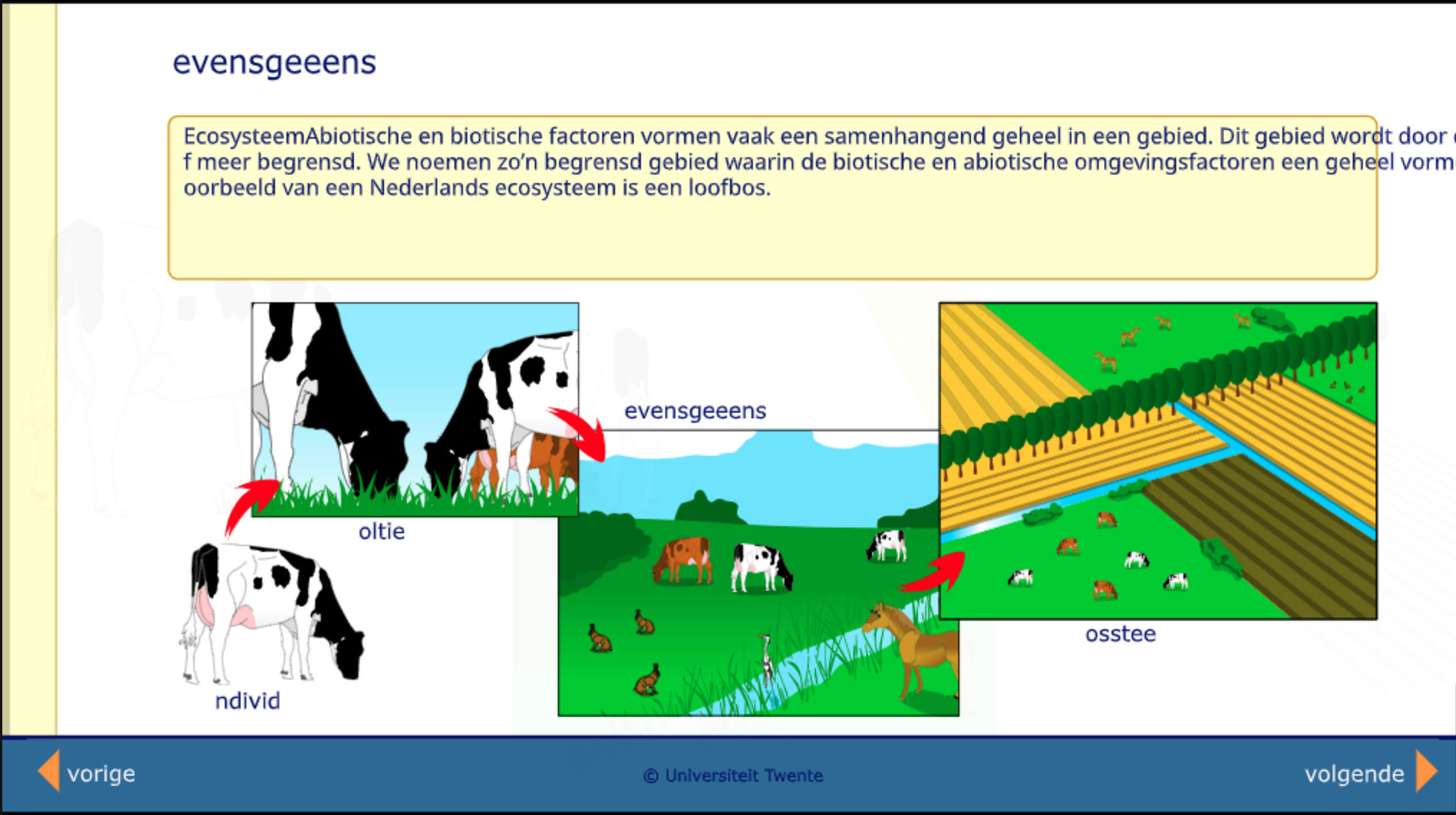 Issues with text encoding? · Issue #451 · ruffle-rs/ruffle · GitHub