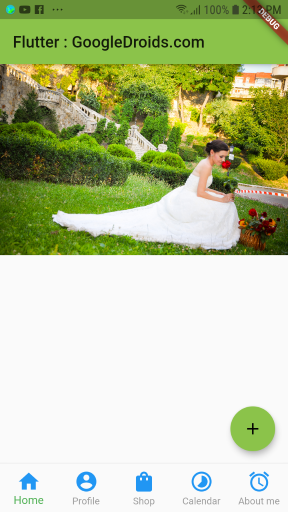 GitHub - Jorgesys/Flutter-BottomNavigationBar-App