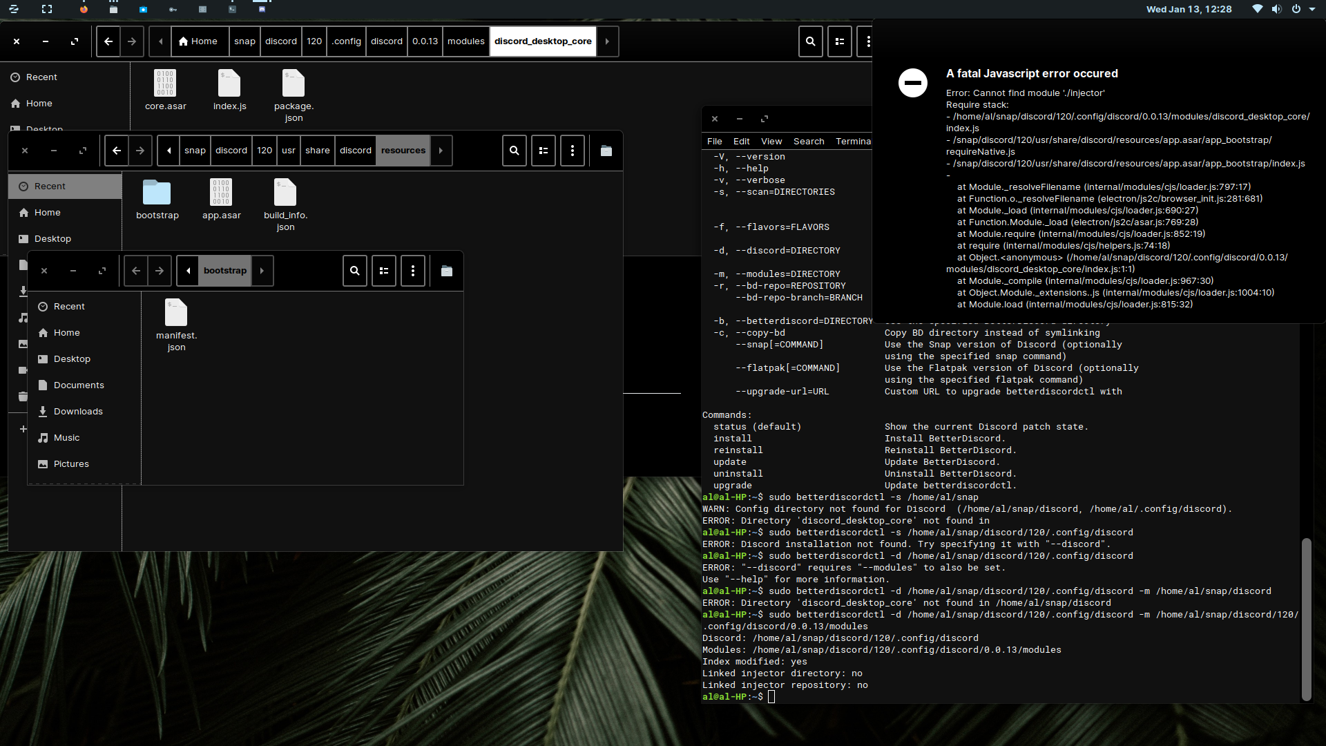 Linked injector directory: no · Issue #92 · bb010g/betterdiscordctl · GitHub