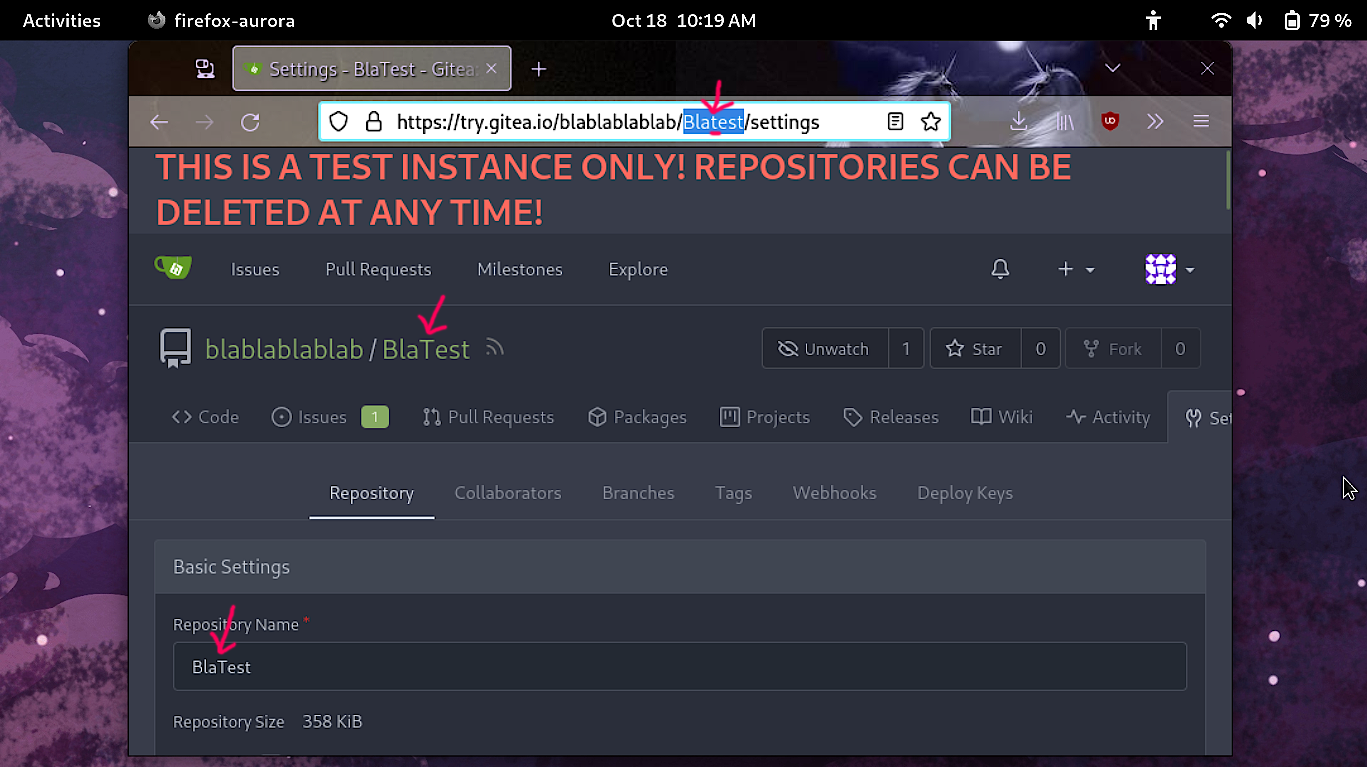 Repository & organization pages don't redirect to proper letter casing · Issue #21496 · go-gitea ...