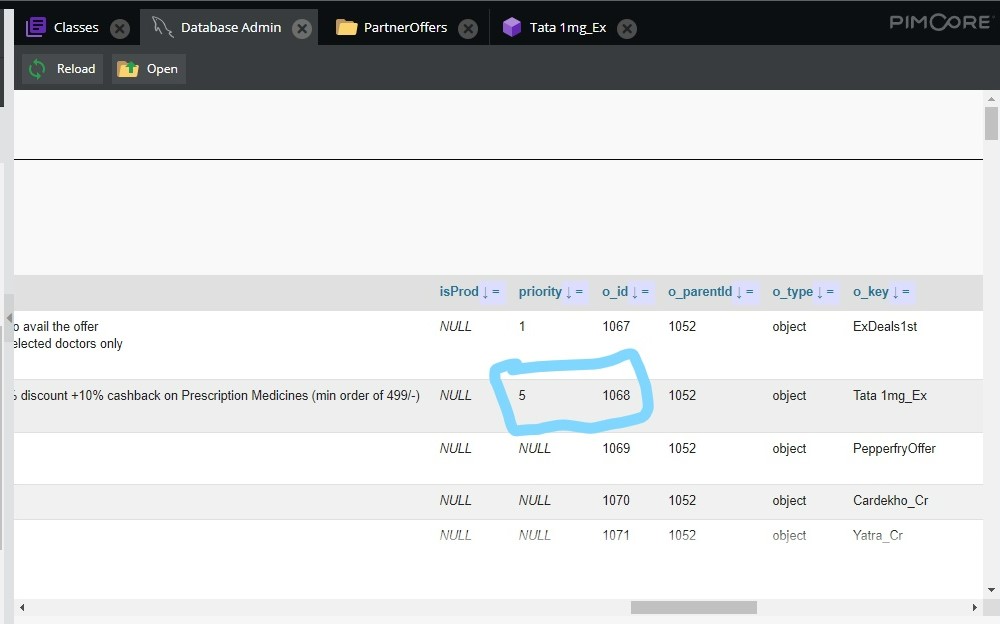 Bug Data Missing From Pimcore 10 Admin Data Objects Ui · Issue 5620