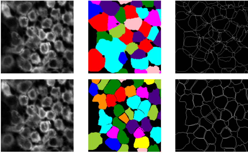 GitHub - ArnoldX99/cellcutter-by-Pytorch