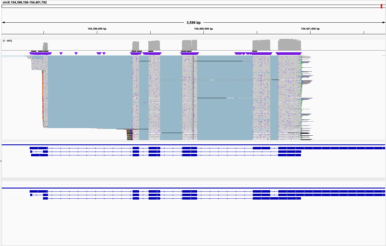 Issue in identifying 3′ end position · Issue #92 · ablab/IsoQuant · GitHub