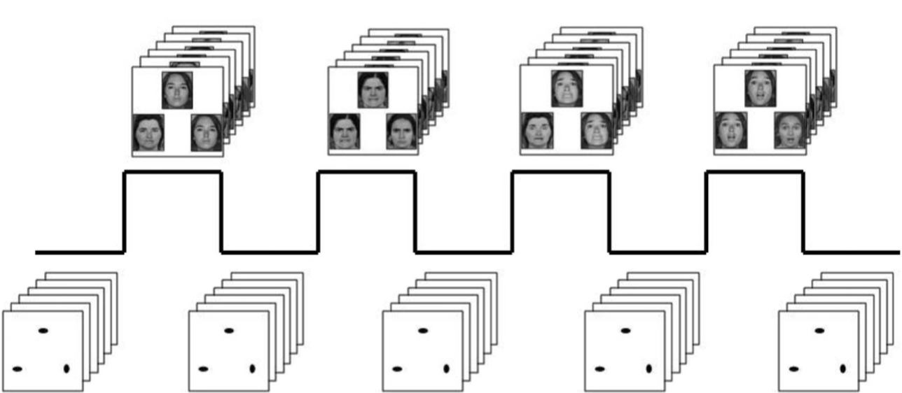 GitHub - avisha-04/nma-project-hcp-fmri-emotions-task: This was a group ...