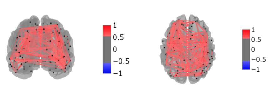 GitHub - avisha-04/nma-project-hcp-fmri-emotions-task: This was a group ...
