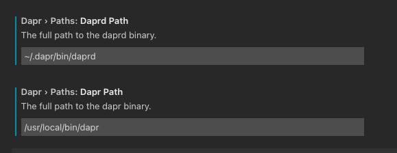 There is no application in the webpage when opening the debugged project dapr dashboard · Issue ...