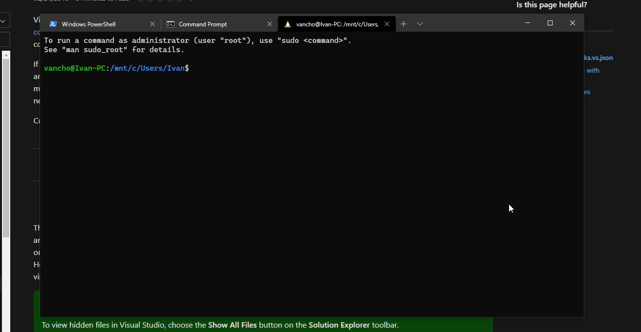 Animations are buggy · Issue #8435 · microsoft/terminal · GitHub