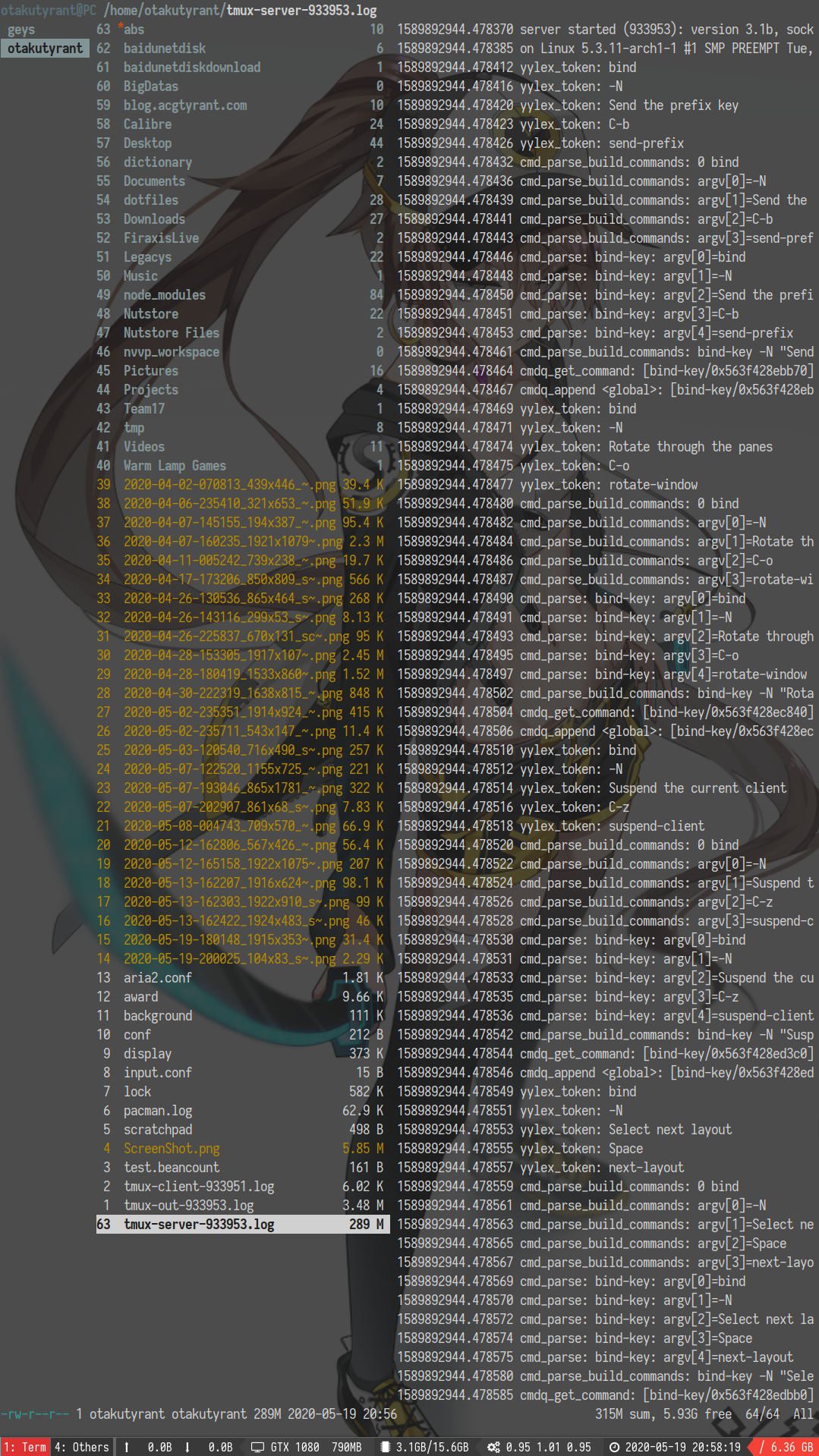 If I Bind Keys To Page Downup And Hit Any Of Them In Copy Mode Tmux Freezes · Issue 2220