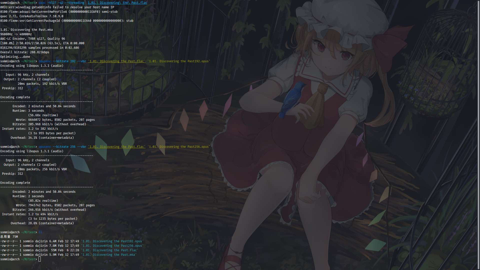 Why is opusenc instead larger than qaac when encoding 96khz/24bit flac audio? · Issue #242 ...