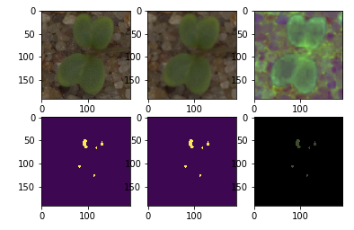 GitHub - jihyeheo/DAC3_Plant_Seedlings_Classification_Project