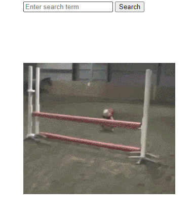 GitHub - pl3lee/Gif-Display