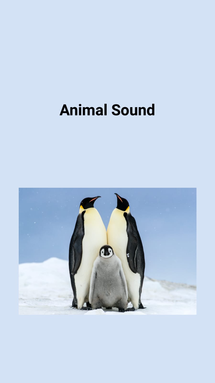 GitHub - MahabirNeogy/Animal-Sound: An app for playing different animal ...