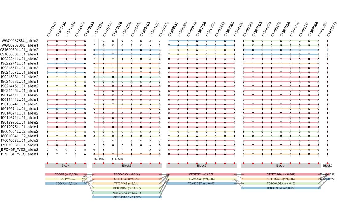 GitHub - SherryDong/HaplotypeViewR: R functions to deal with haplotype results