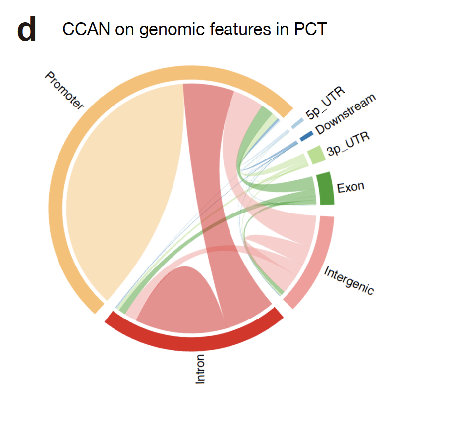 Visual depiction of CCANS using chord diagram · Issue #412 · stuart-lab ...