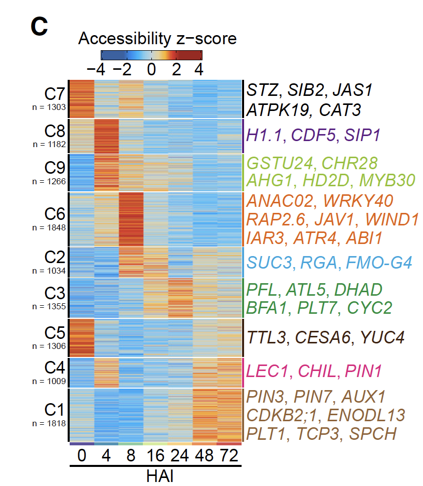 Help with generating a given heatmap plot · Issue #264 · stuart-lab/signac · GitHub
