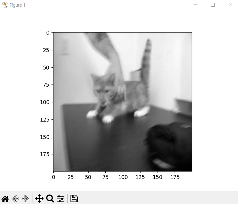 GitHub - hitachi-itachi/Cat_Dog-Image-Classifier