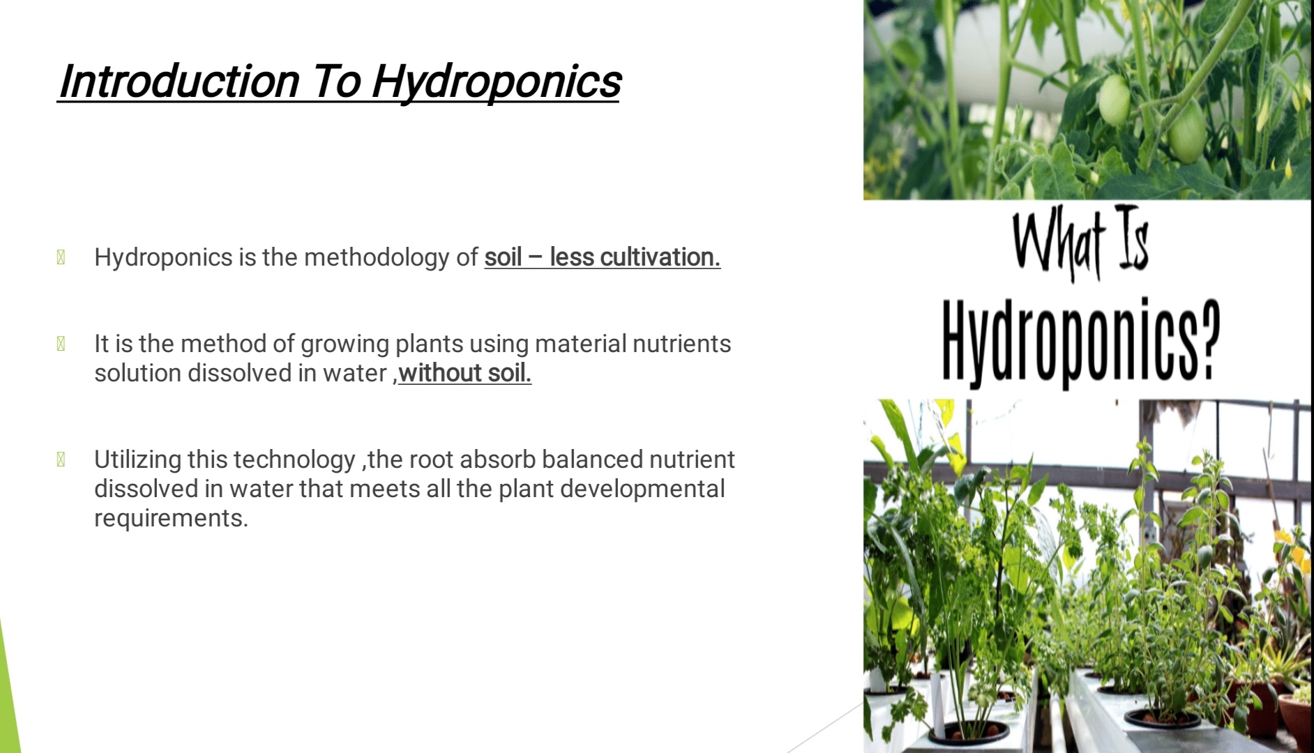 GitHub - akdaftuar09/NFT-Hydroponics-System: Optimization (Design and Construction) of IoT based ...