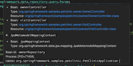[Question] jdt protocol URIs in hovers · Issue #1212 · microsoft/vscode-languageserver-node · GitHub